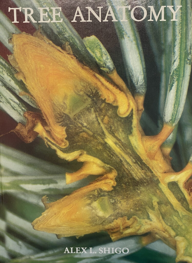 Tree anatomy di Alex Shigo - Agri Consult